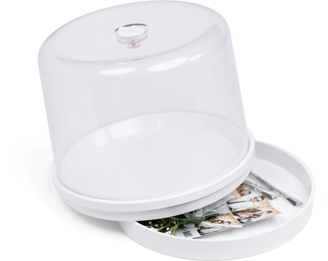 KeepCake | Freeze Cake After Wedding in the Perfect Airtight Cake Container